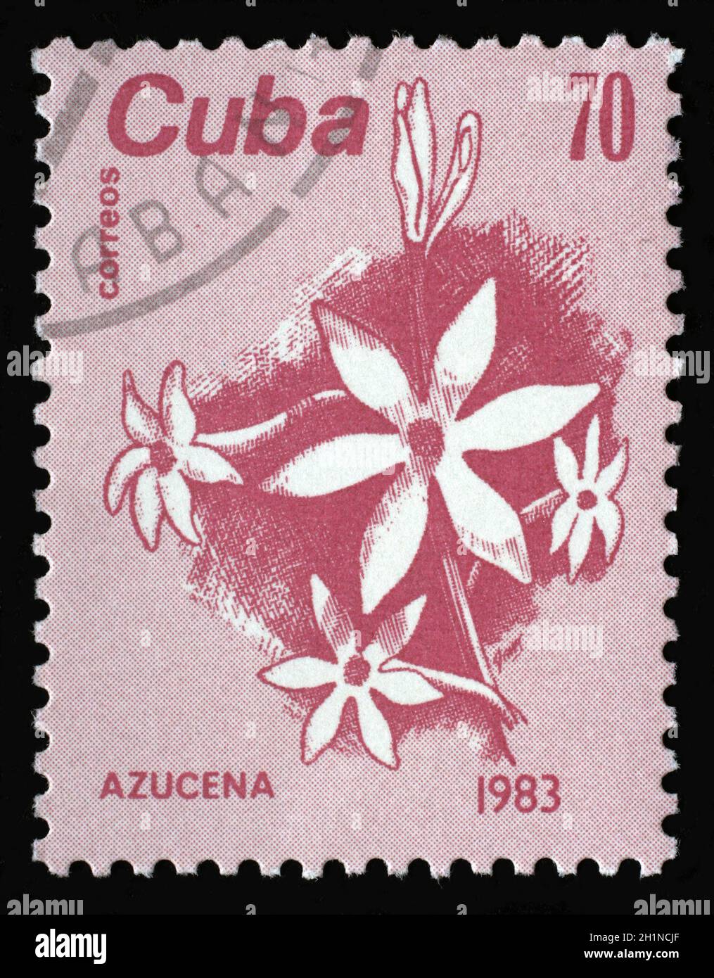 Stamp printed in Cuba, shows a Azucena flower, circa 1983 Stock Photo ...