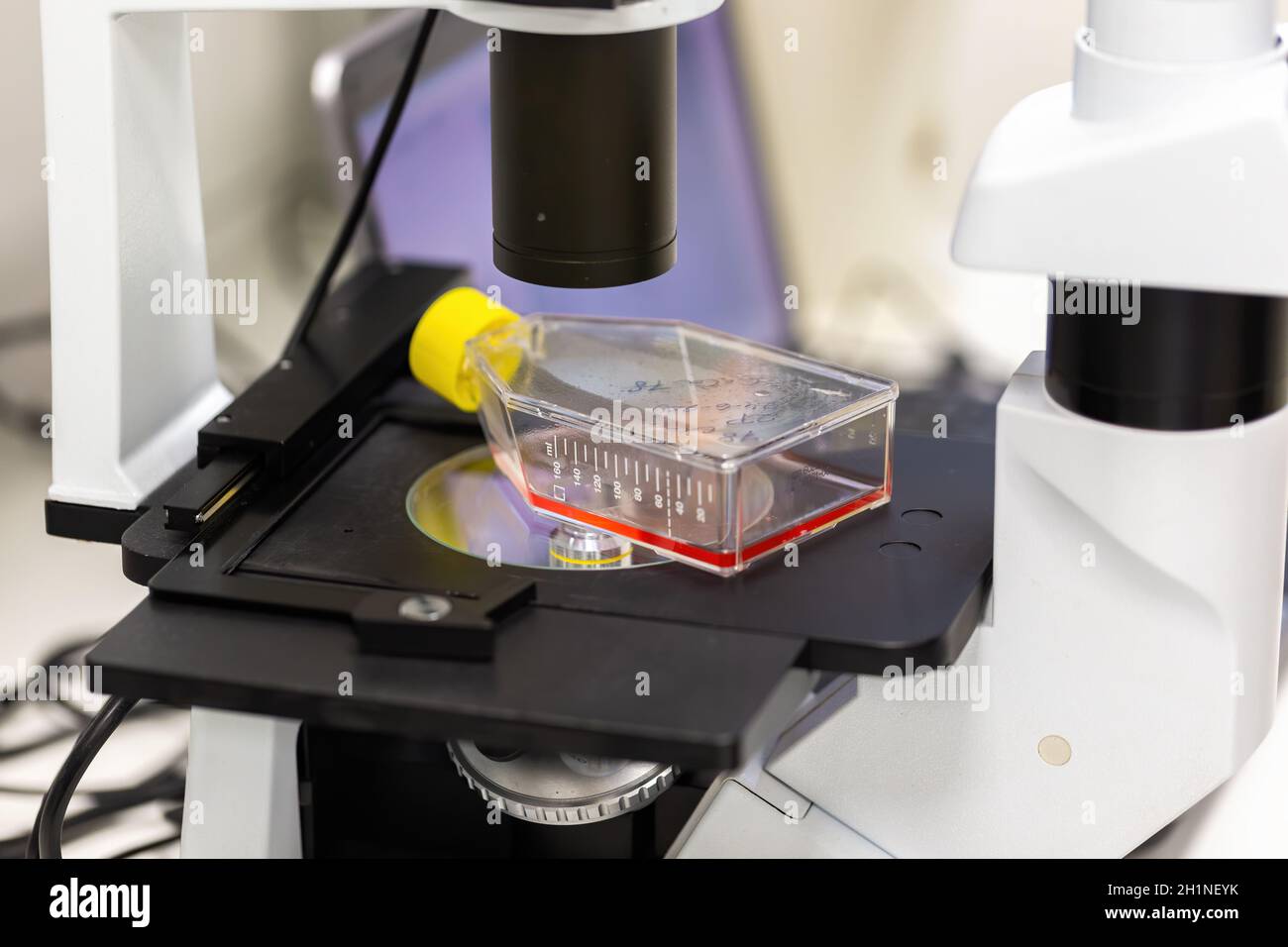 Experimental assessment of a red liquid inside test tube in microscope ...