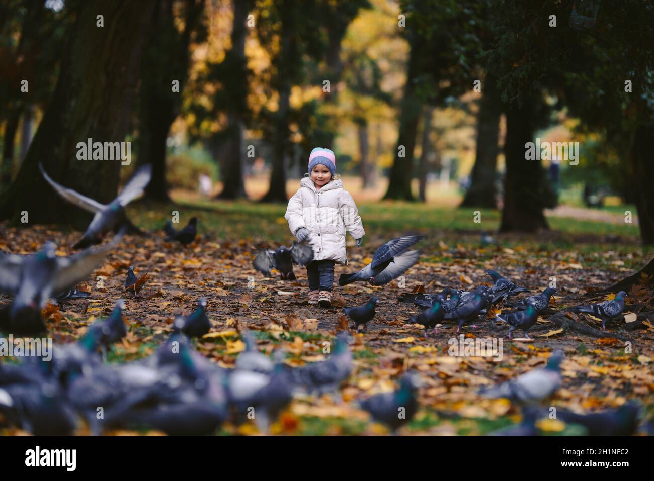 Chasing birds hi-res stock photography and images - Alamy
