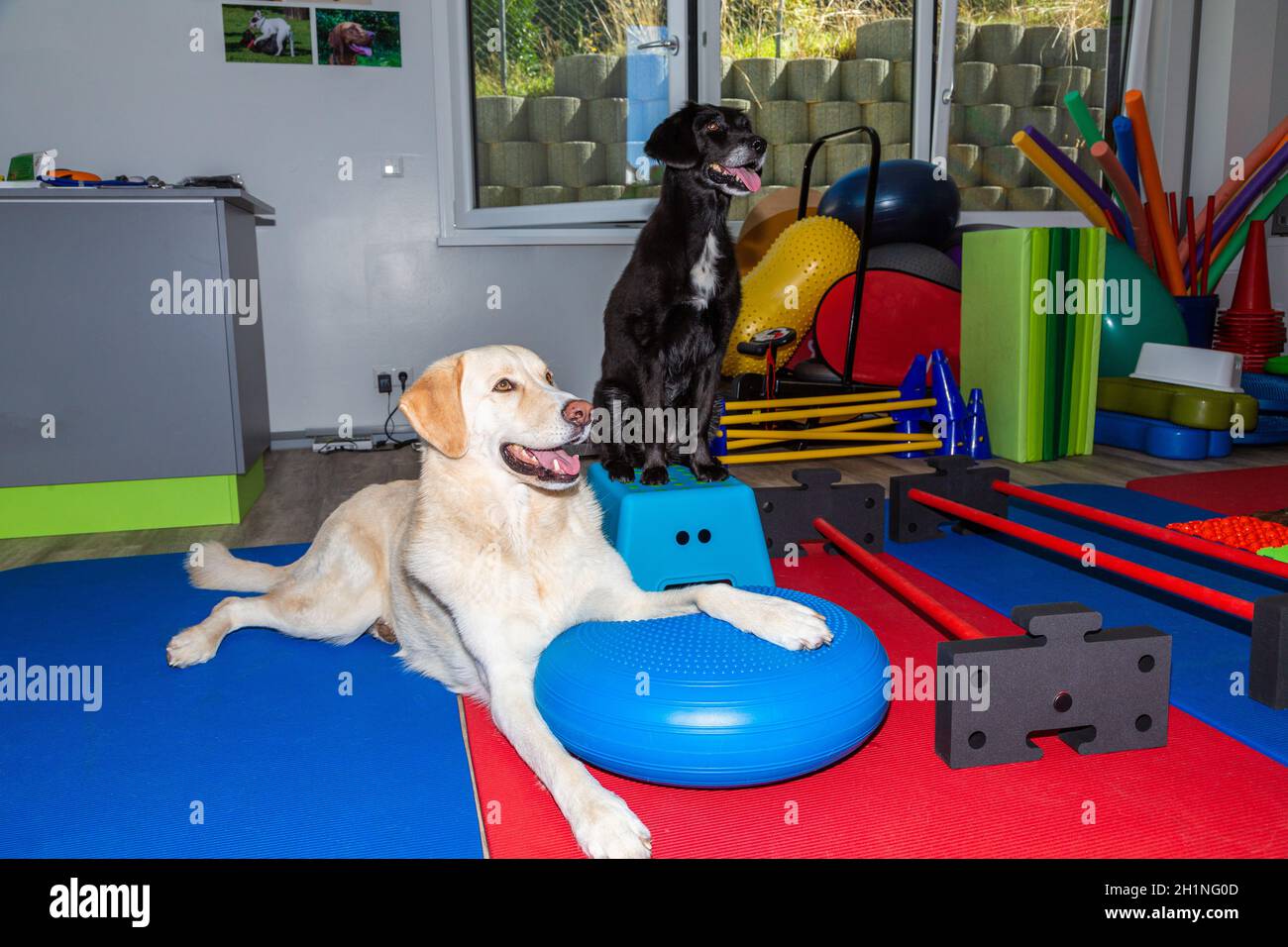Physical therapy practice hi-res stock photography and images - Alamy