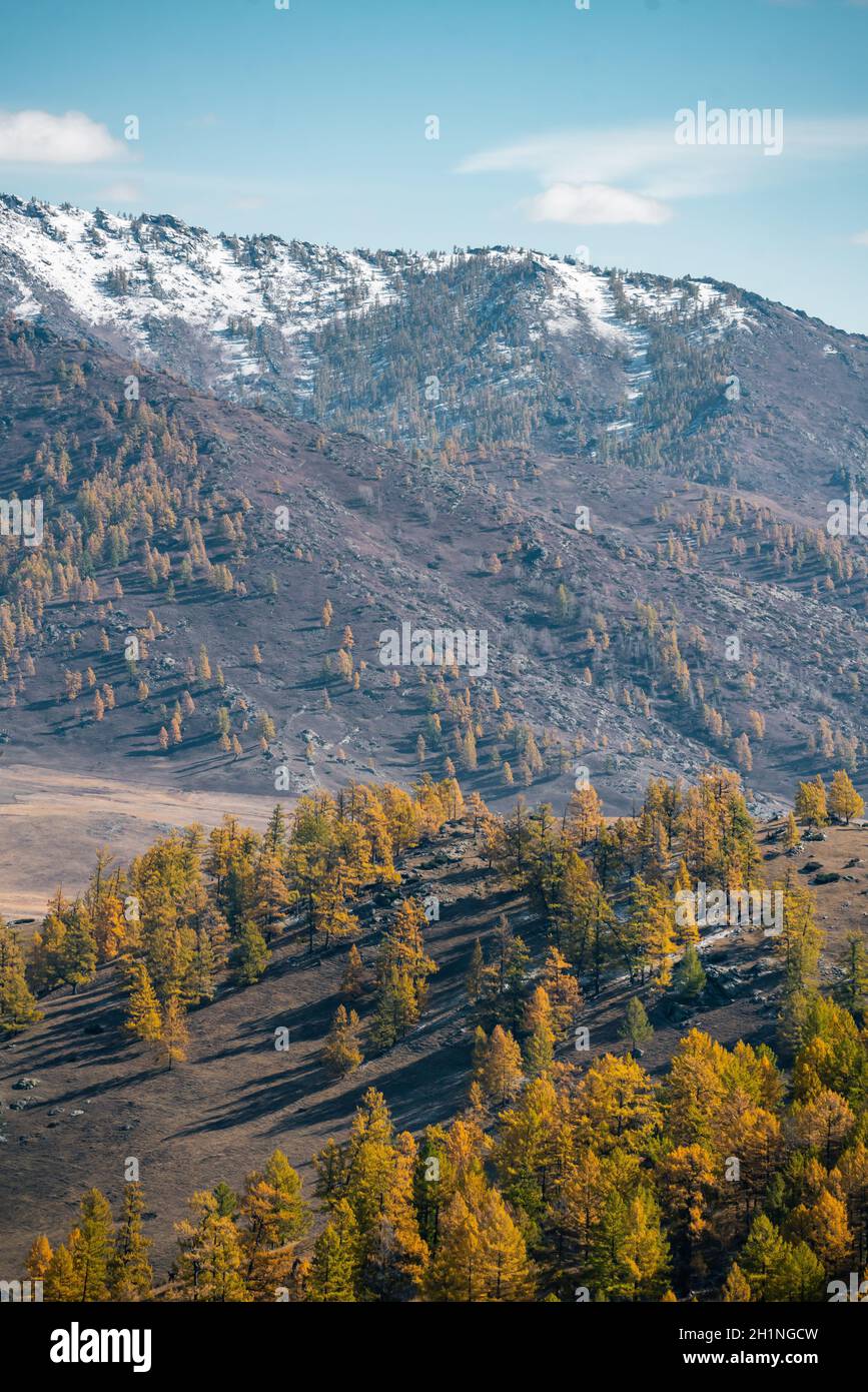 Autumn landscape in Kanas, Xinjiang province, China Stock Photo - Alamy