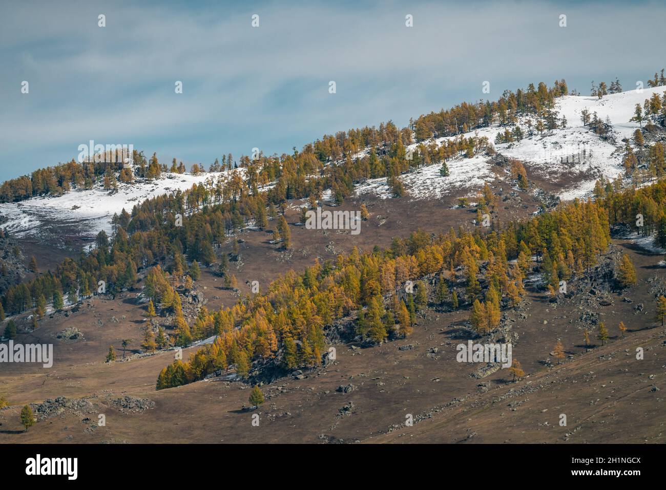 Autumn landscape in Kanas, Xinjiang province, China Stock Photo - Alamy