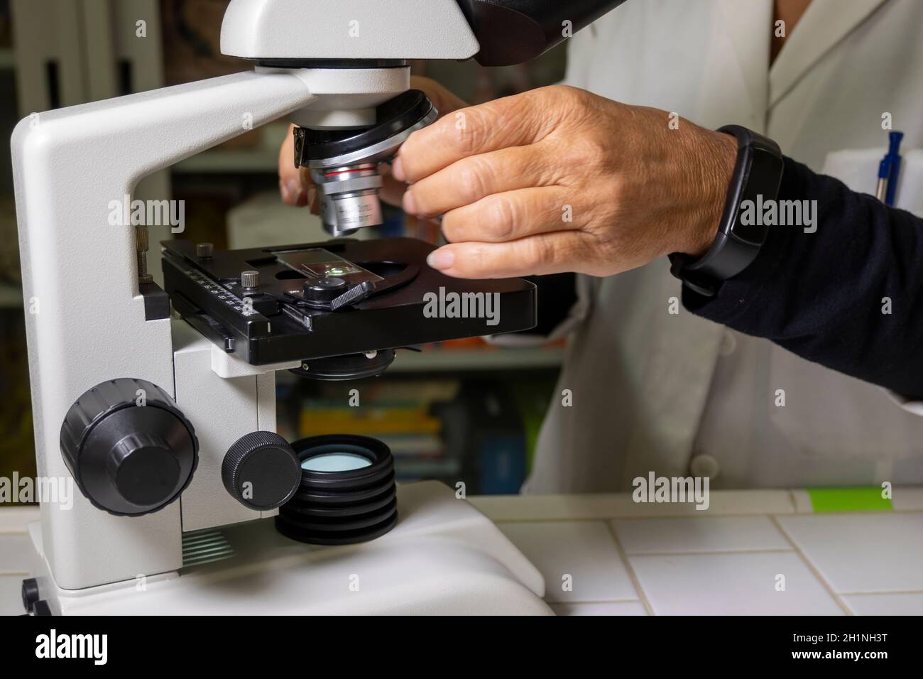Biology lesson. Teacher is using an optical microscope to carry out her ...