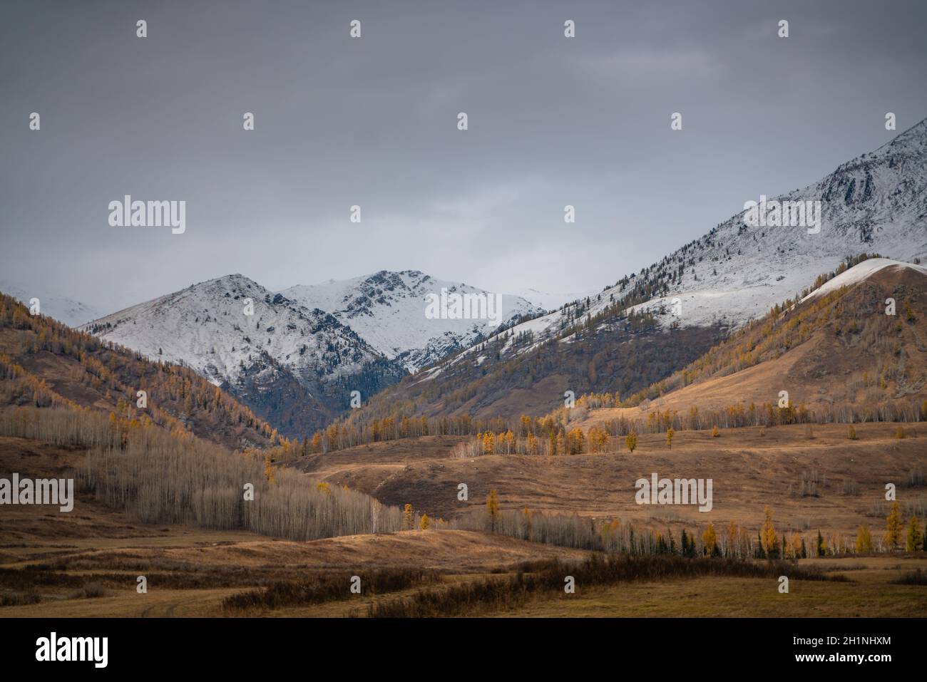 Autumn landscape in Kanas, Xinjiang province, China Stock Photo - Alamy