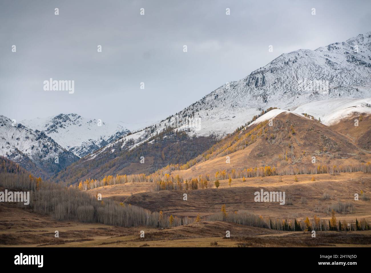 Autumn landscape in Kanas, Xinjiang province, China Stock Photo - Alamy