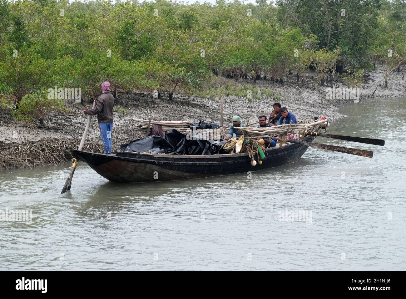 Rowing boat in the swampy areas of the Sundarbans, UNESCO World ...