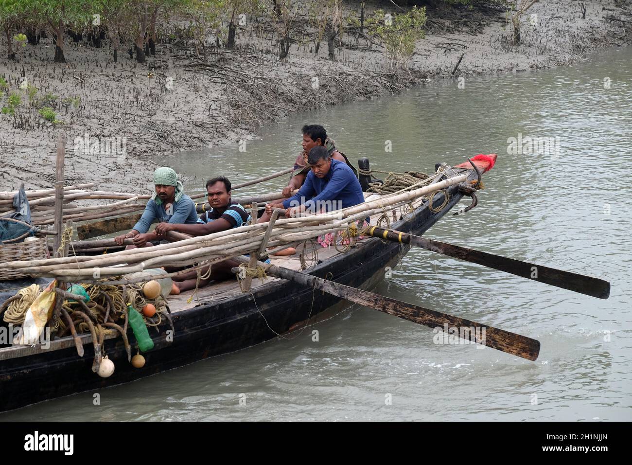 Rowing boat in the swampy areas of the Sundarbans, UNESCO World ...