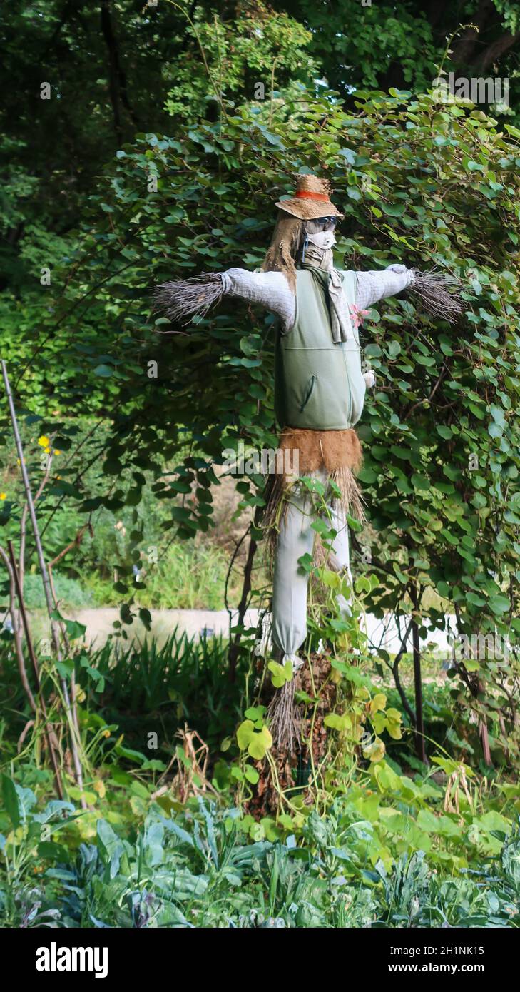 Scarecrow in Royal Botanical Garden Madrid Stock Photo - Alamy