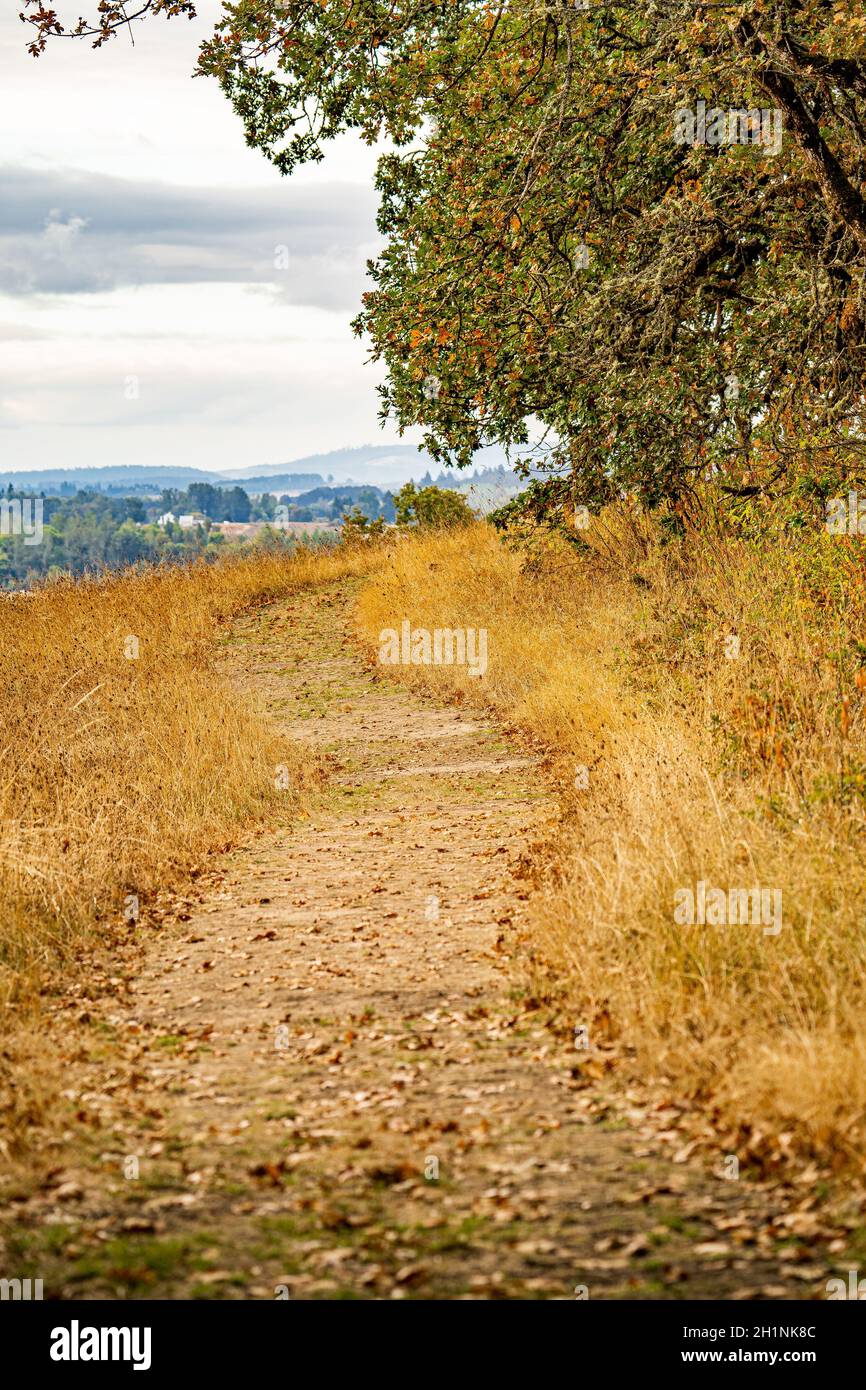 Country paths hi-res stock photography and images - Alamy