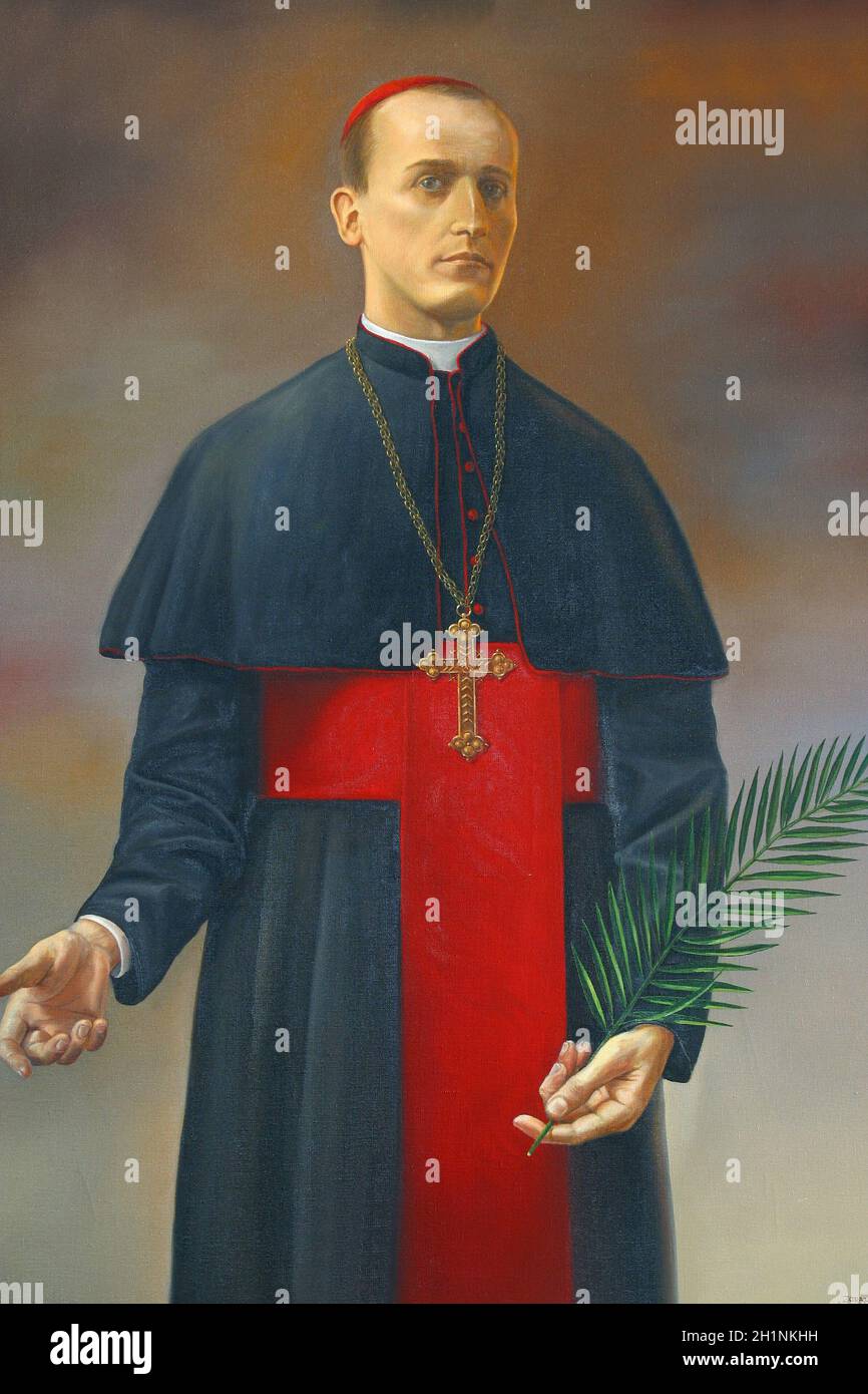 Blessed aloysius stepinac hi-res stock photography and images - Alamy
