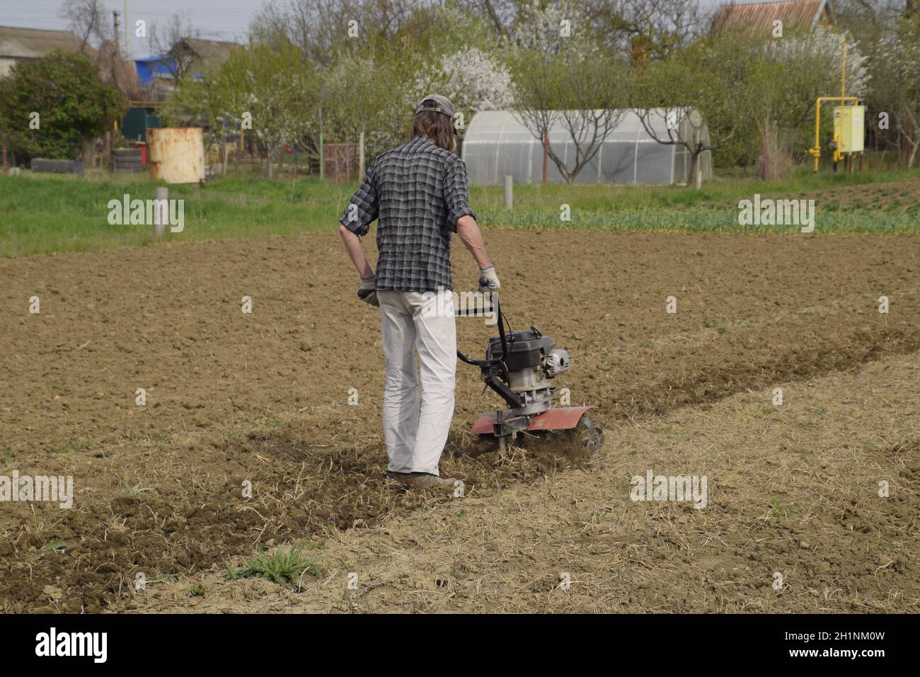 A man plows a tiller in the garden. Spring cultivation of the garden ...