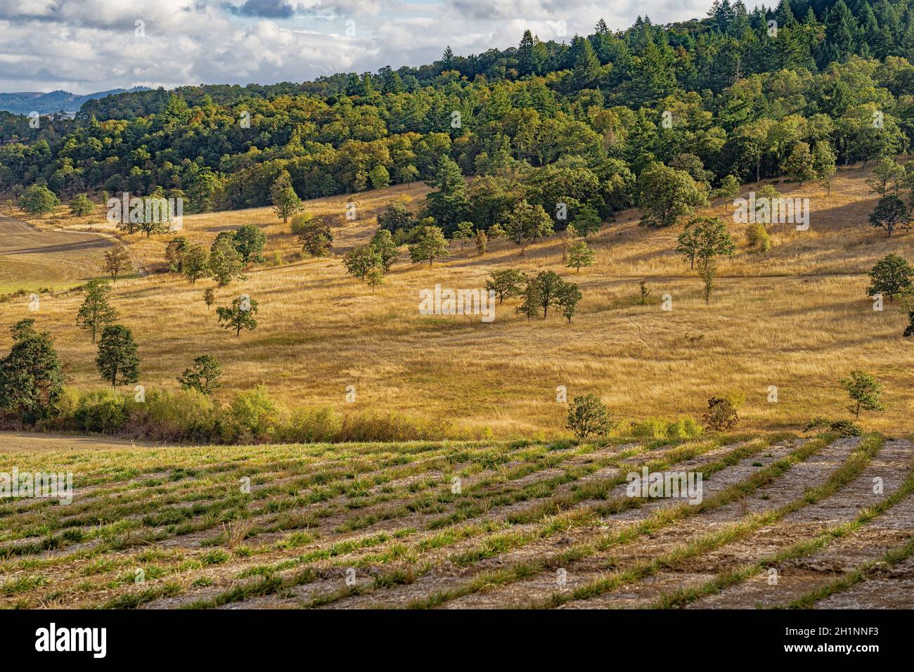Gold hill oregon hi-res stock photography and images - Alamy