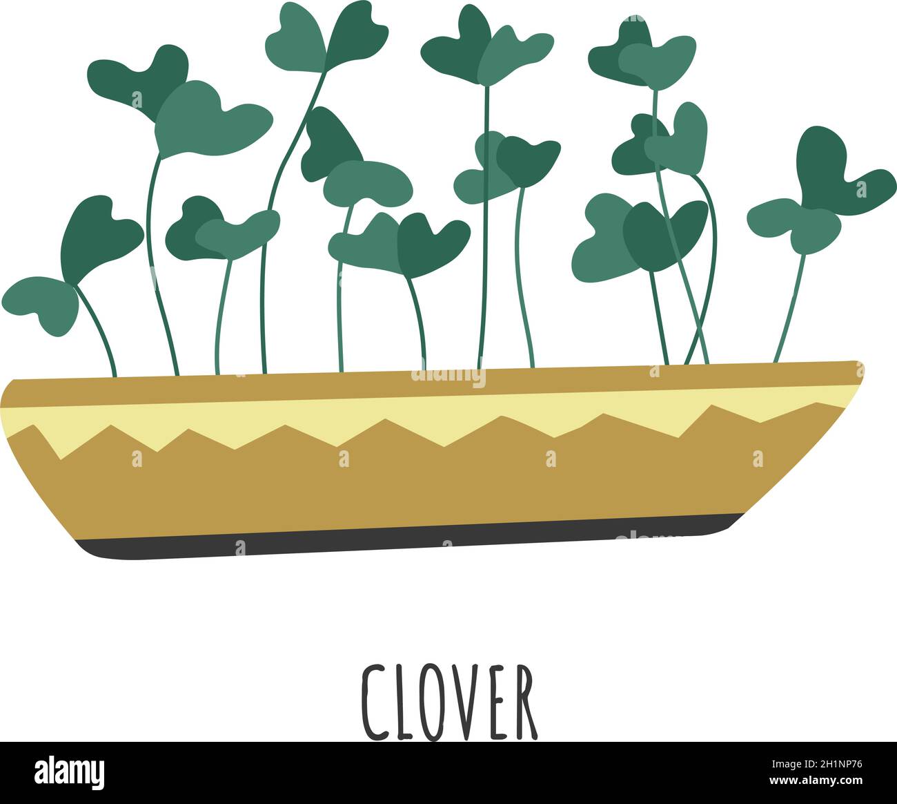 Edible trefoil Stock Vector Images - Alamy