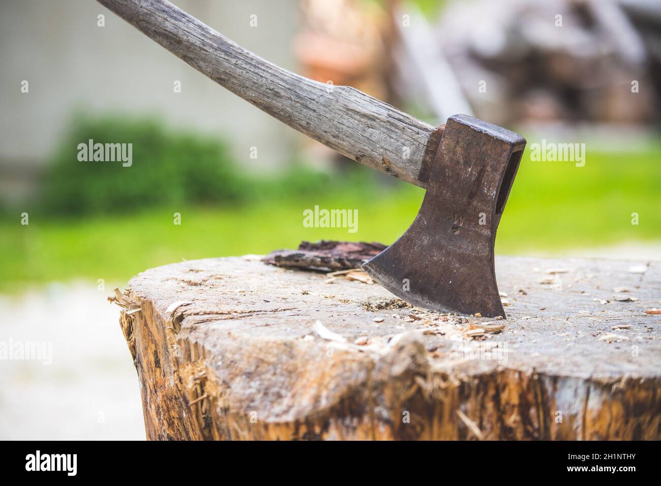 Old axe attached to a tree trunk, alpine hut Stock Photo - Alamy