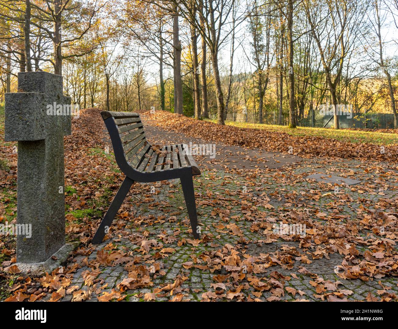 idyllic scenery with wooden bench at a cemetery at autumn time Stock ...