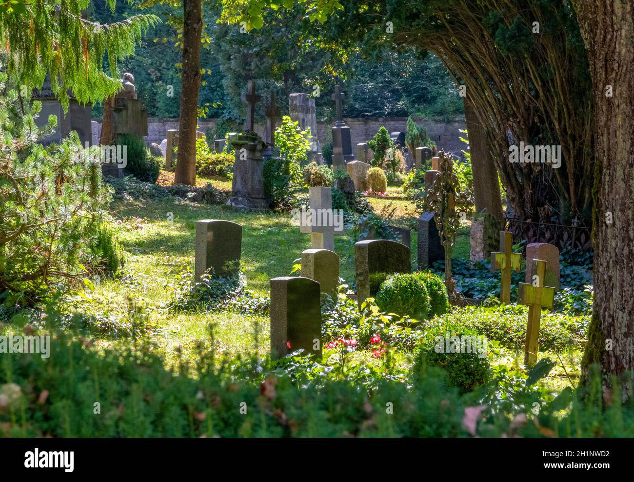 Graveyard scenery hi-res stock photography and images - Alamy