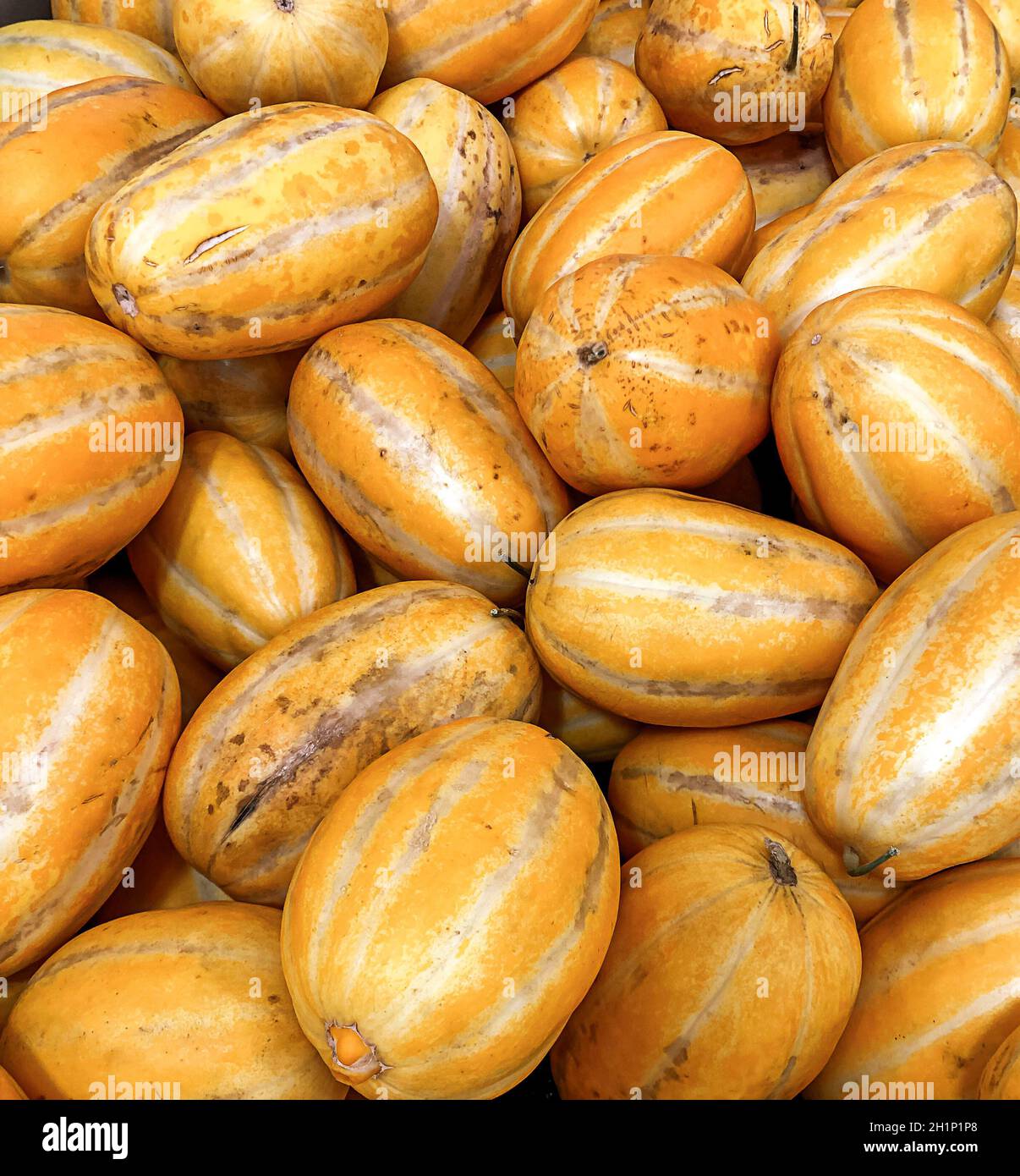 Winter melons hi-res stock photography and images - Alamy