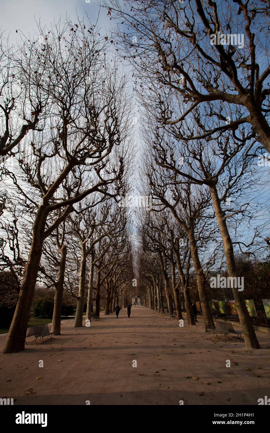 Garden of plants (jardin des plantes) in Paris, France Stock Photo - Alamy