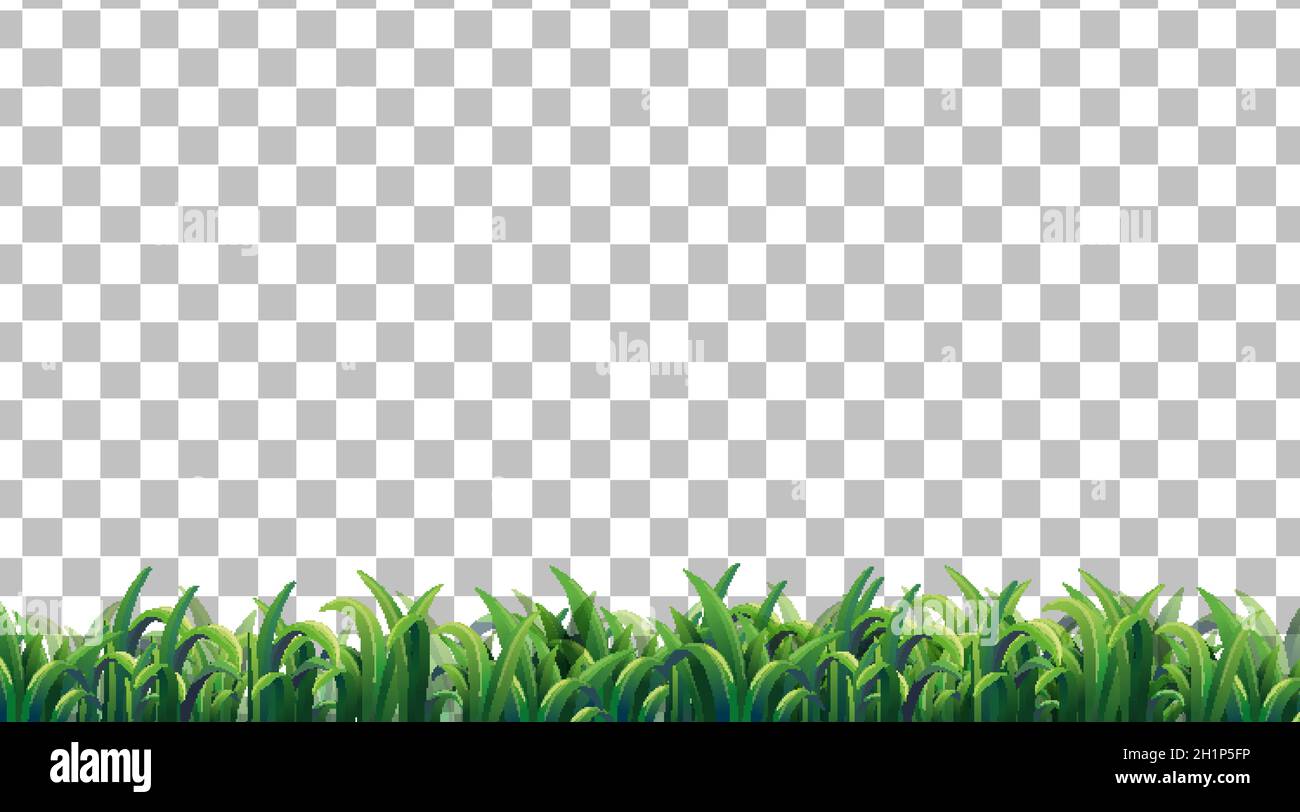 Simple grass field on transparent background illustration Stock Vector ...