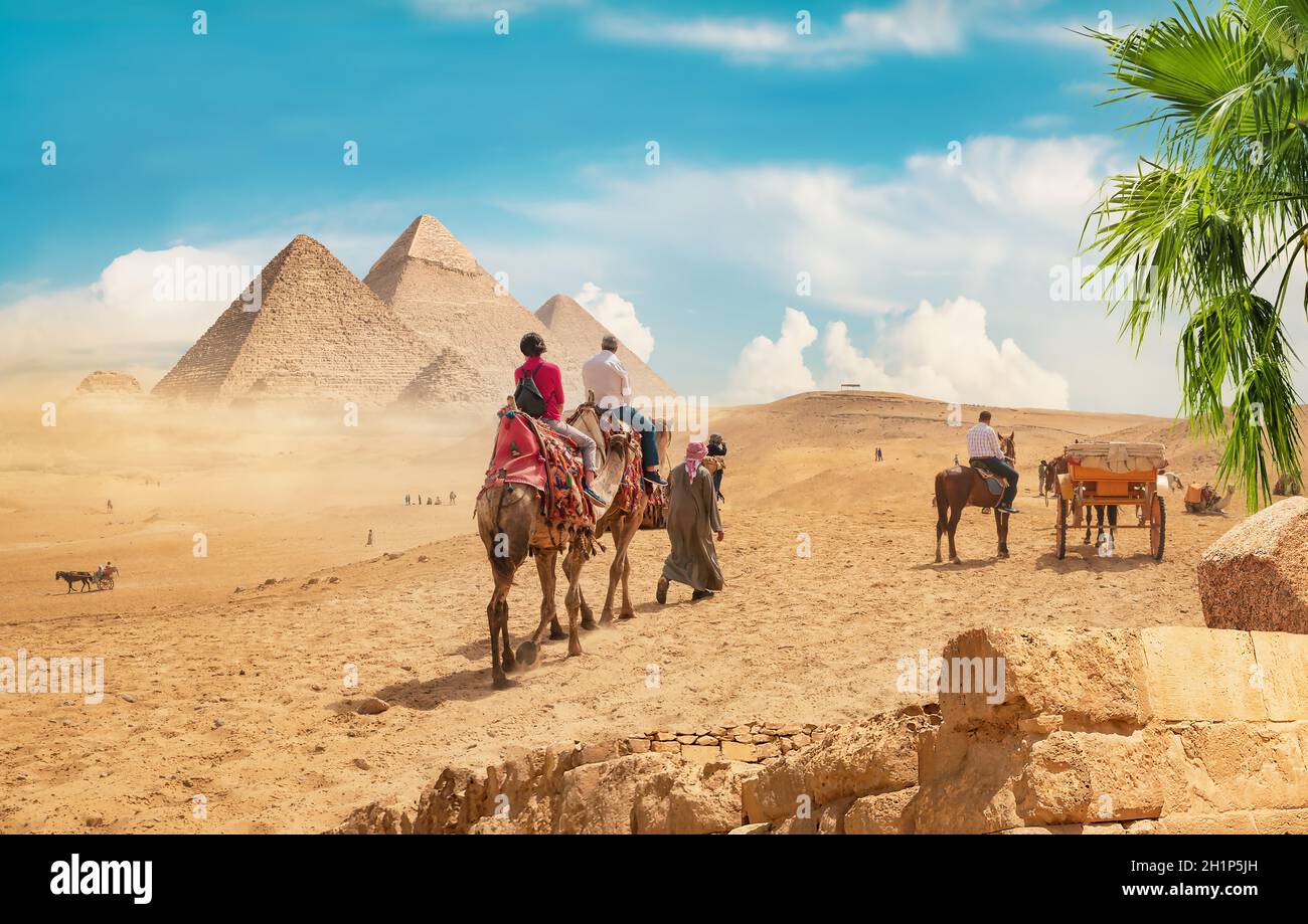 Tamed camel hi-res stock photography and images - Alamy