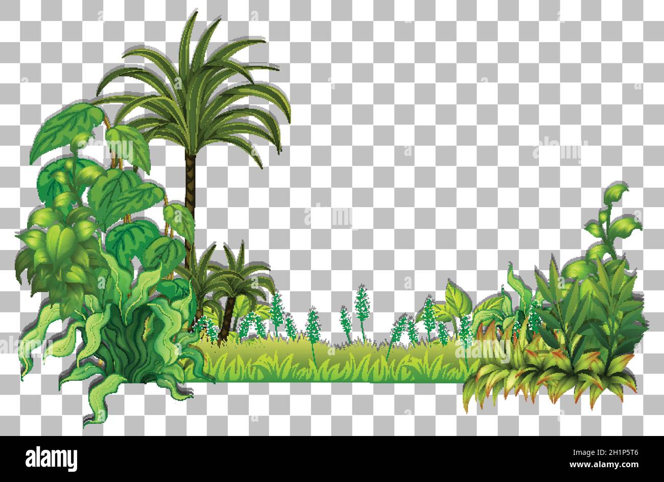 Tropical plant on transparent background illustration Stock Vector ...