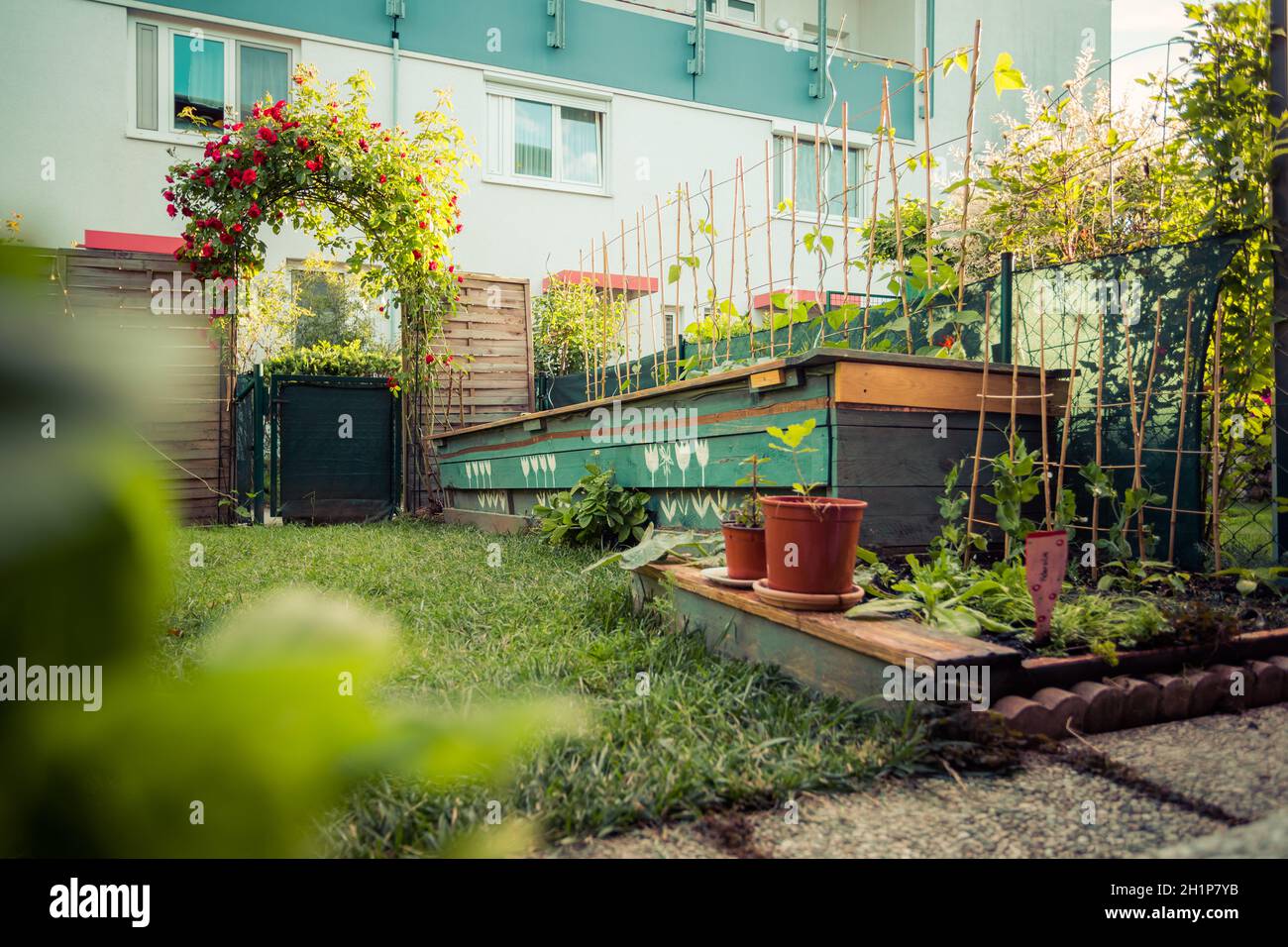 Little garden with green grass and flowers for having good times ...