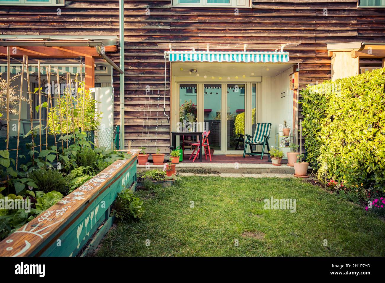 Little garden with green grass and flowers for having good times ...