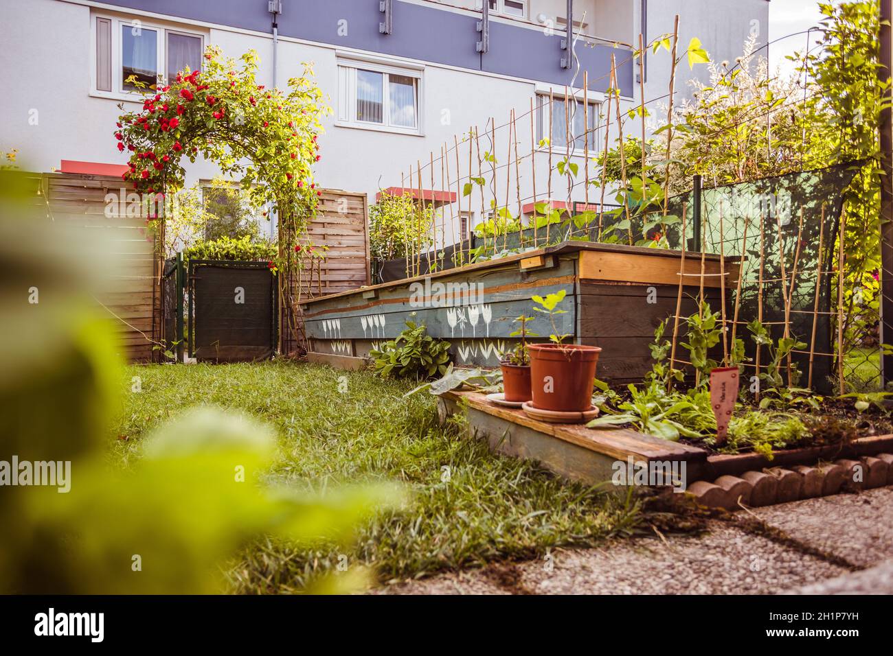 Little garden with green grass and flowers for having good times ...