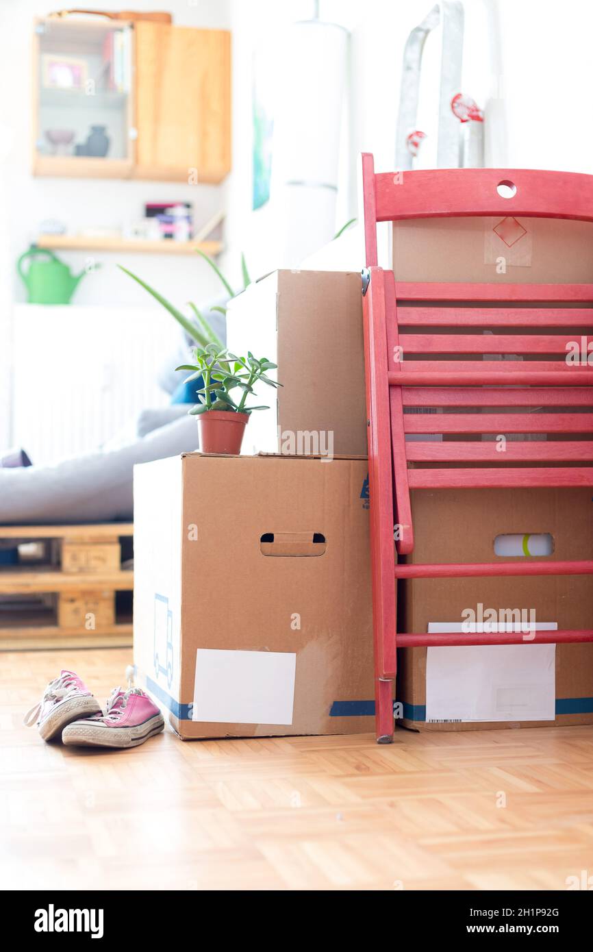 Move. Cardboard boxes, cleaning stuff and things for moving into a new ...