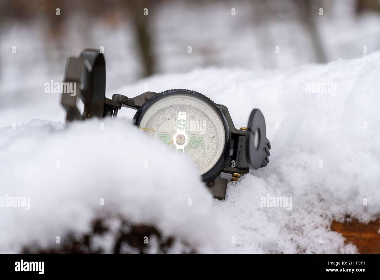 A green compass lies in the snow in the winter forest Stock Photo - Alamy