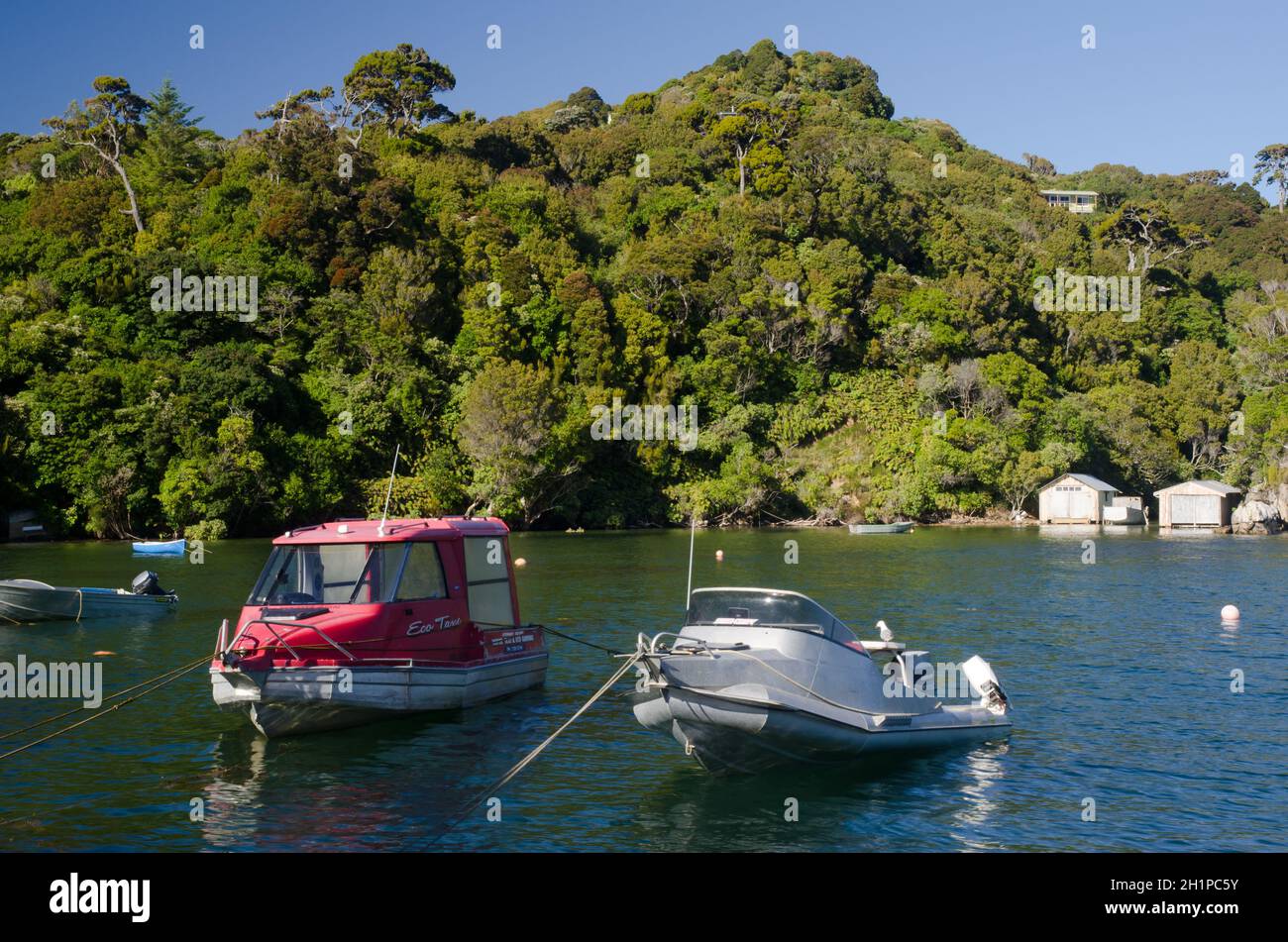 Boats in Oban. Stewart Island. New Zealand Stock Photo - Alamy