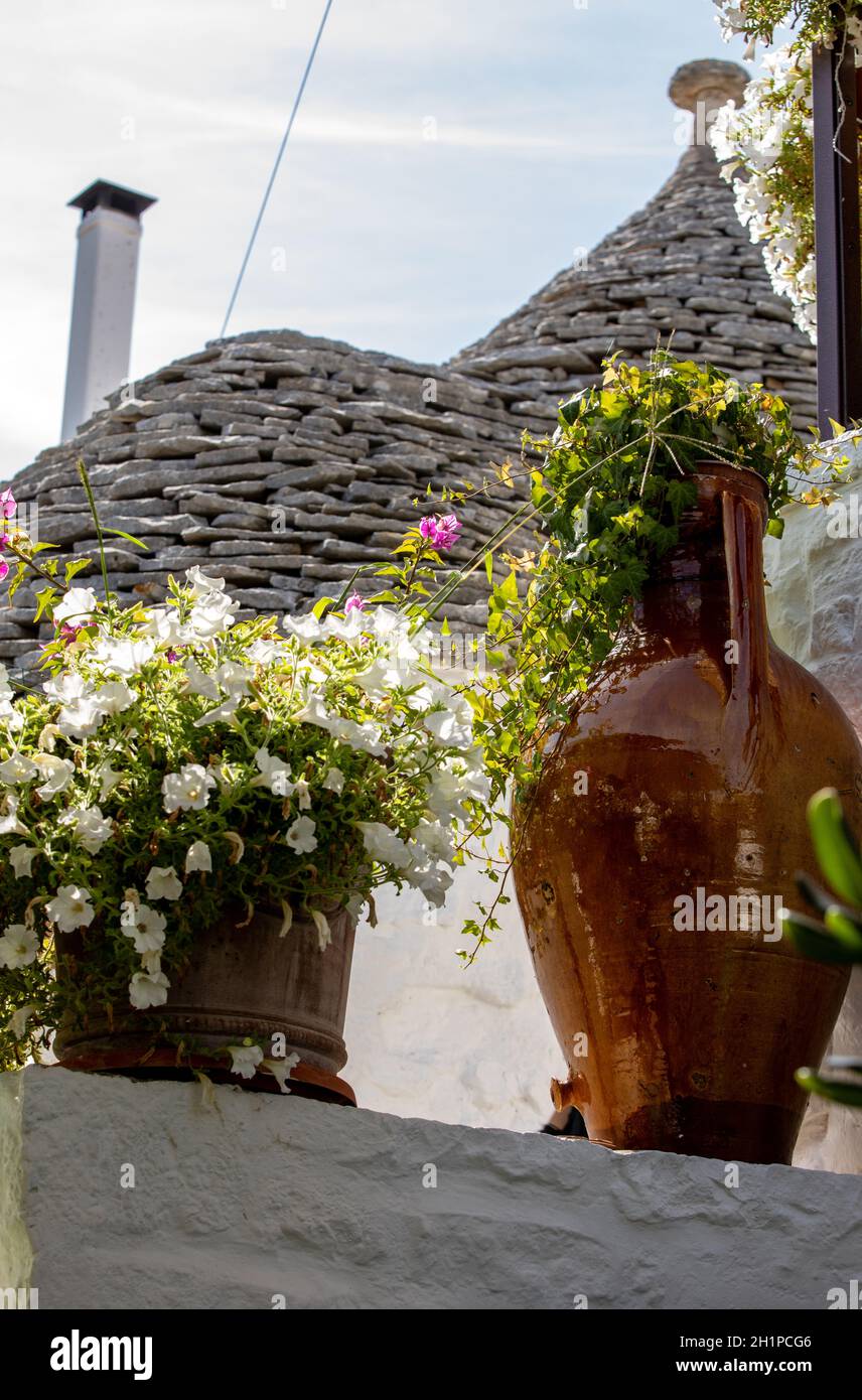White petunias and ceramic jug at cafe in Trulli village in Alberobello ...