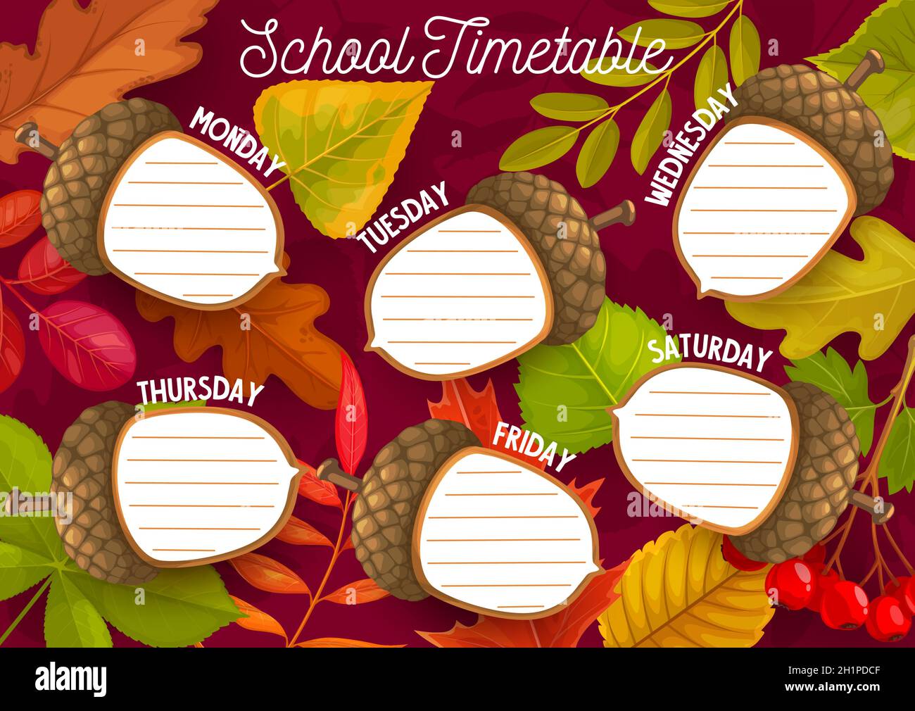 Education timetable schedule with autumn fall tree leaves, acorn and ...