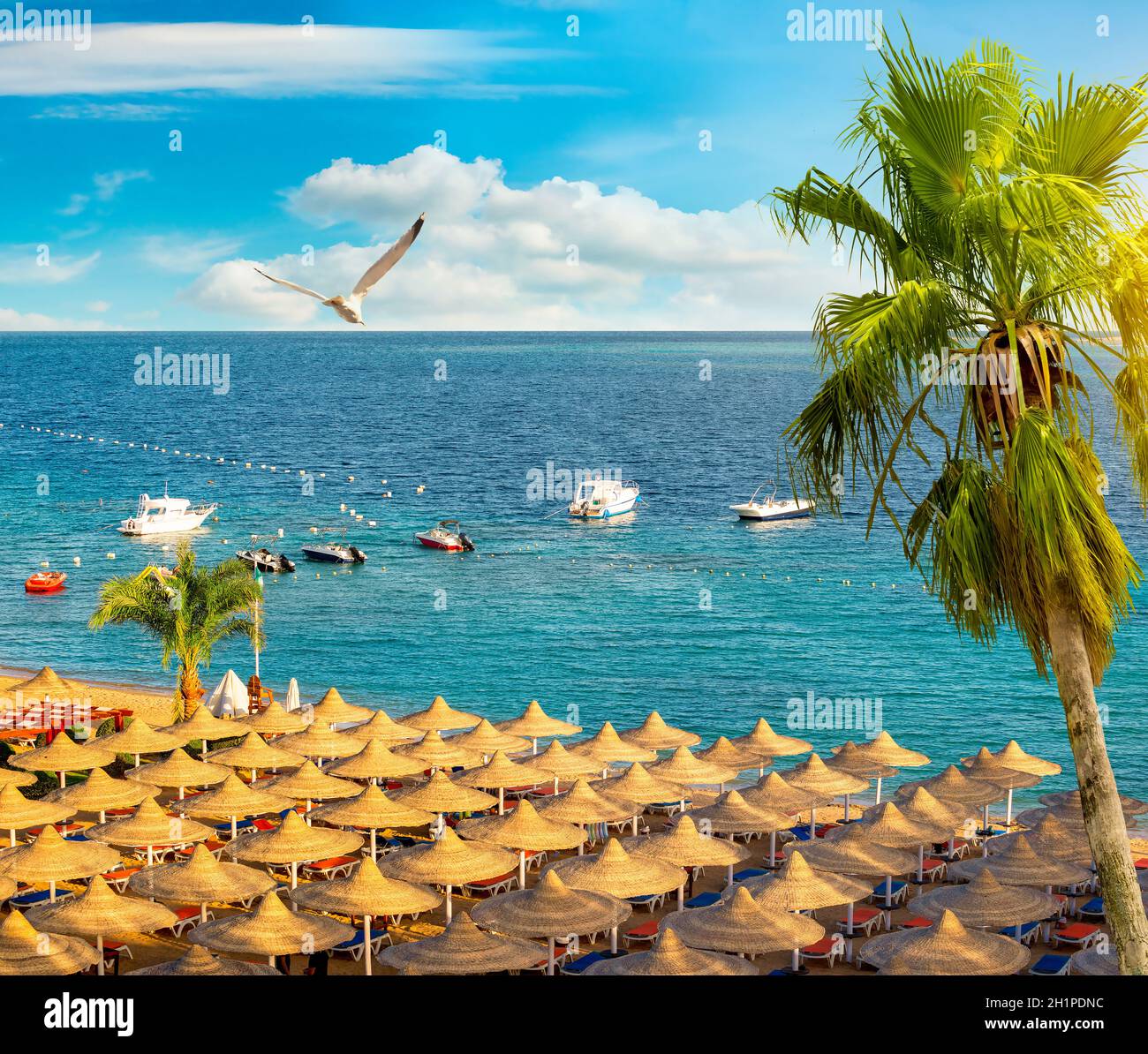 View of the Egypt Red Sea beach Stock Photo - Alamy