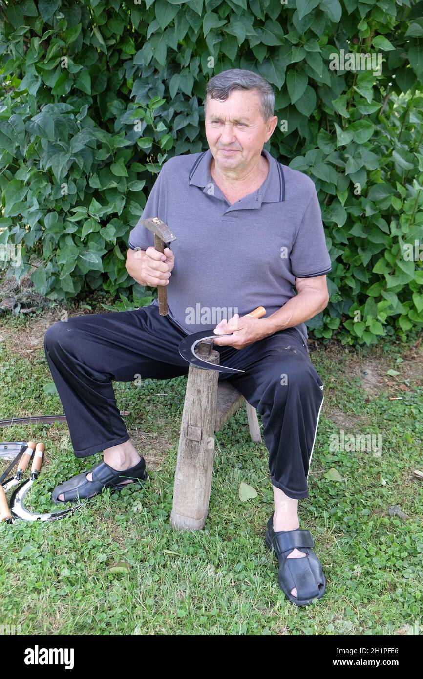 Farmer with hammer and iron tool on the tree stump is sharpening his ...