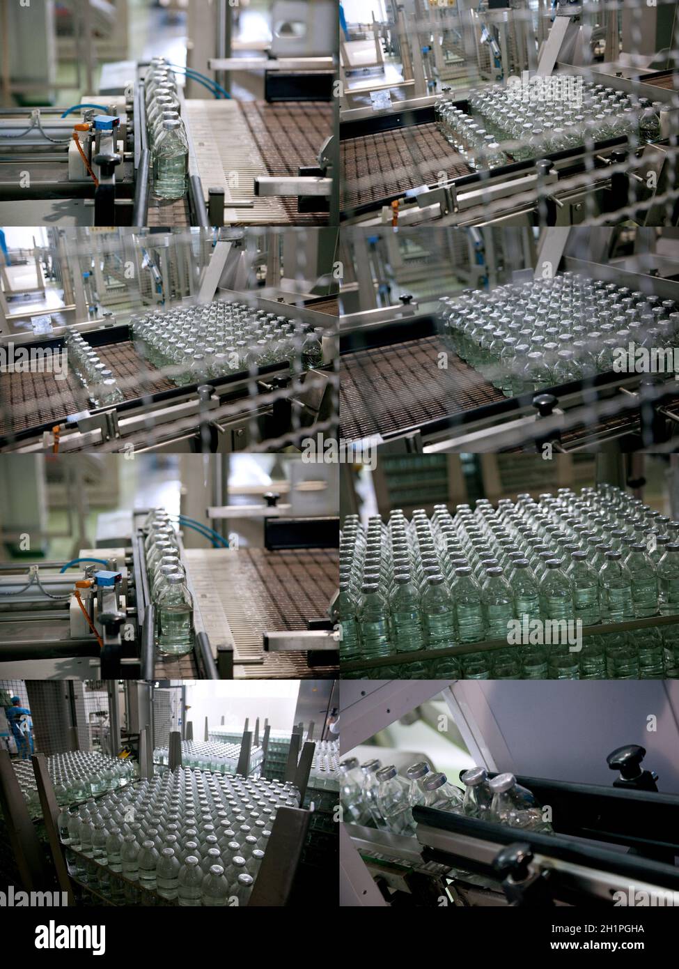Pharmaceutical plant for the production of medicines. Conveyor for the ...