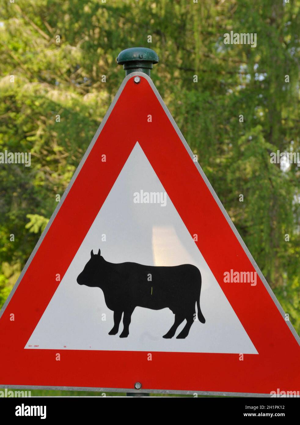 Cattle management system hi-res stock photography and images - Alamy