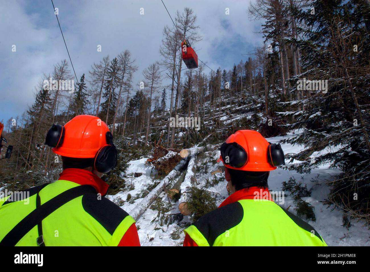Cableway for timber transport hi-res stock photography and images - Alamy