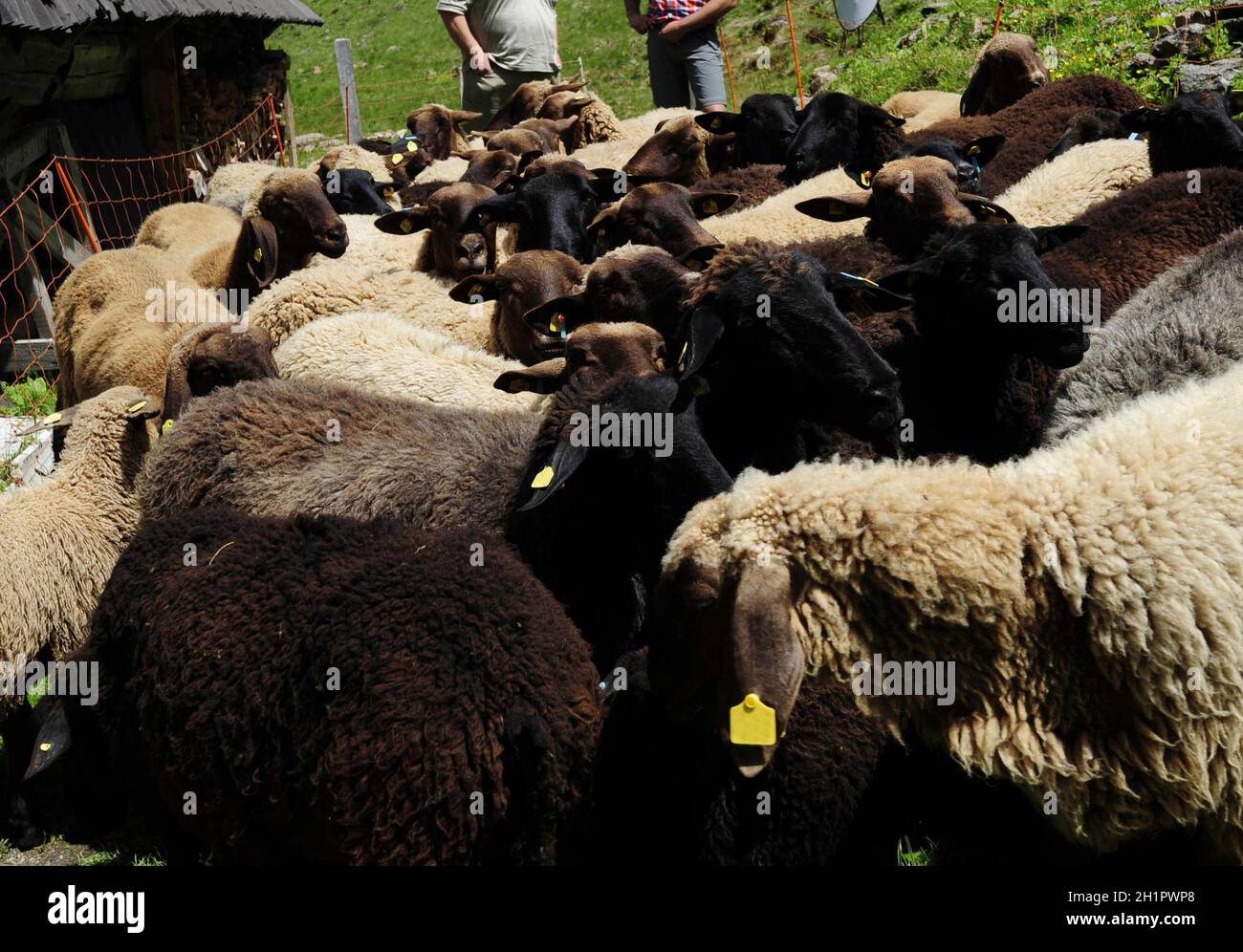 Promotion of farming life hi-res stock photography and images - Alamy