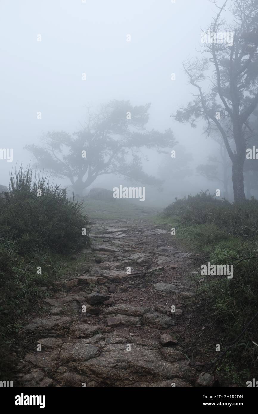 Mist road hi-res stock photography and images - Alamy