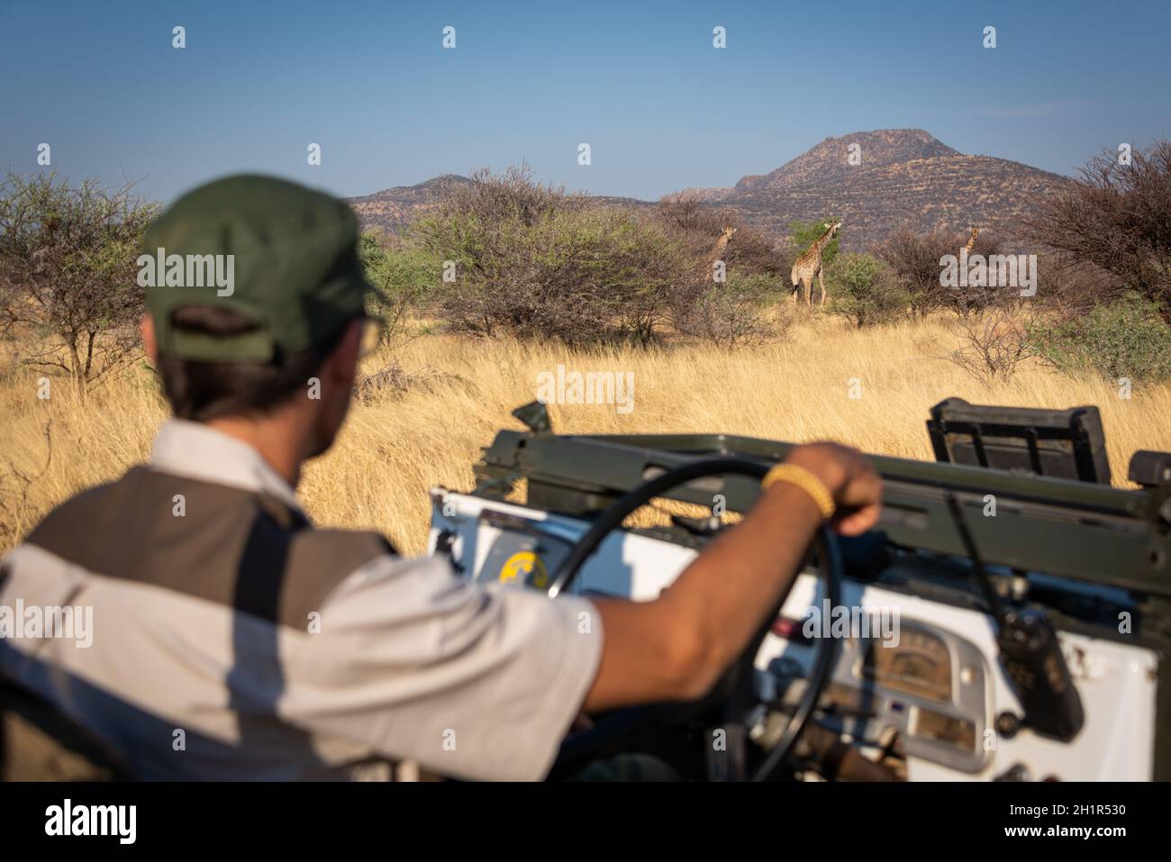 Giraffe ranger hi-res stock photography and images - Alamy