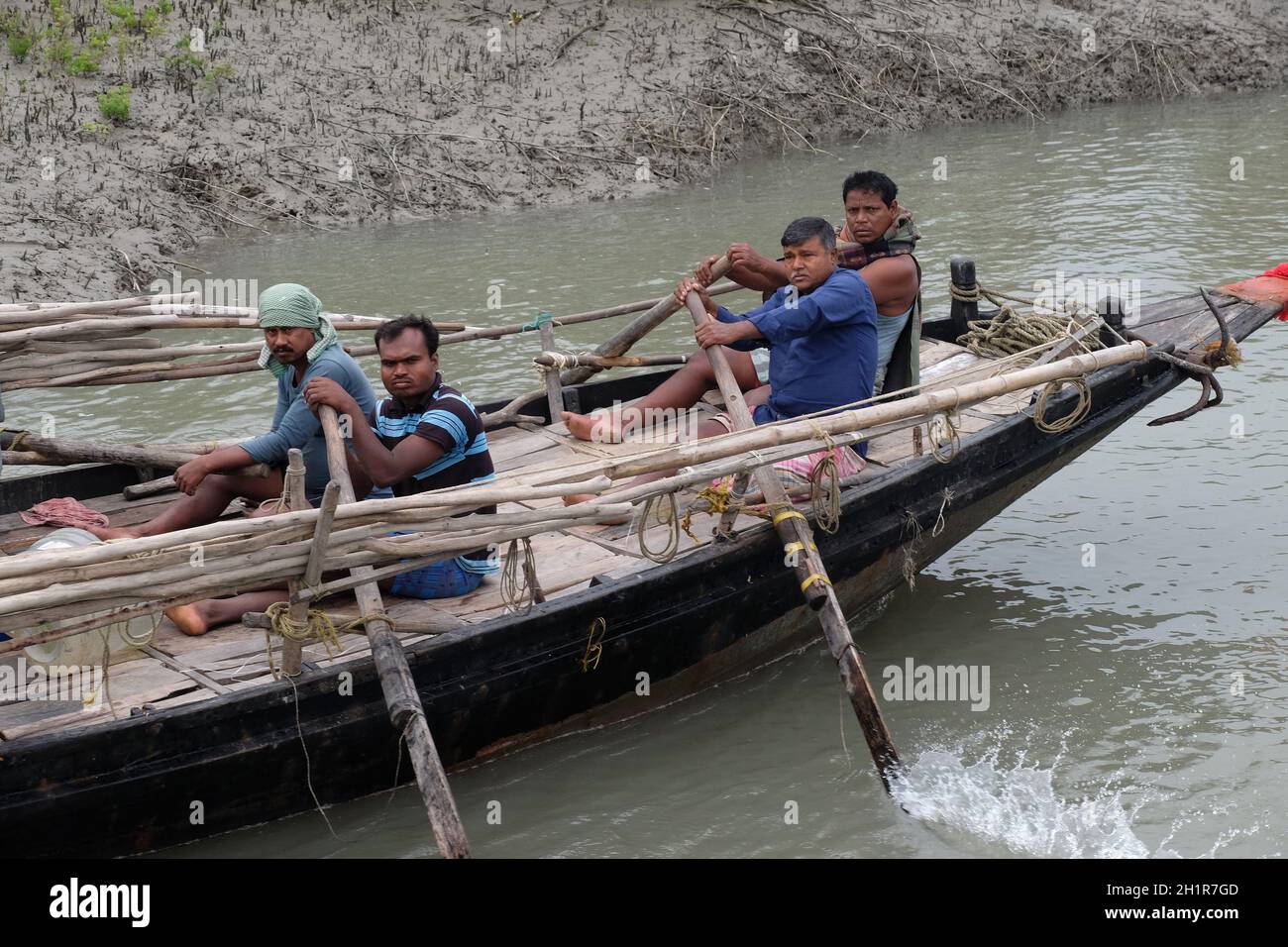 Rowing boat in the swampy areas of the Sundarbans, UNESCO World ...