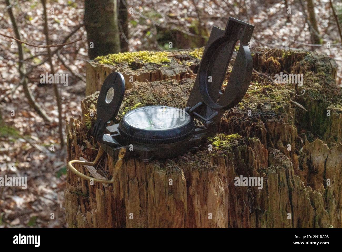 Green hiking compass in the forest on a stump in the sunlight Stock ...