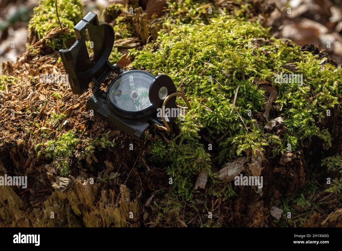 Green hiking compass in the forest on a stump in the sunlight Stock ...