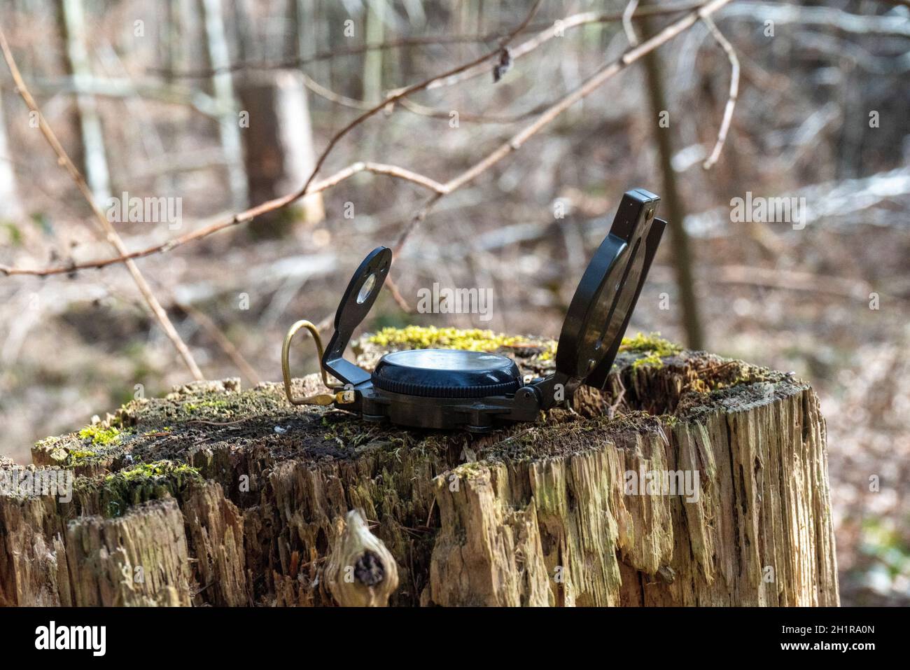 Green hiking compass in the forest on a stump in the sunlight Stock ...
