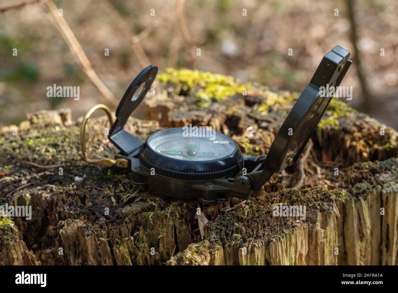 Green hiking compass in the forest on a stump in the sunlight Stock ...