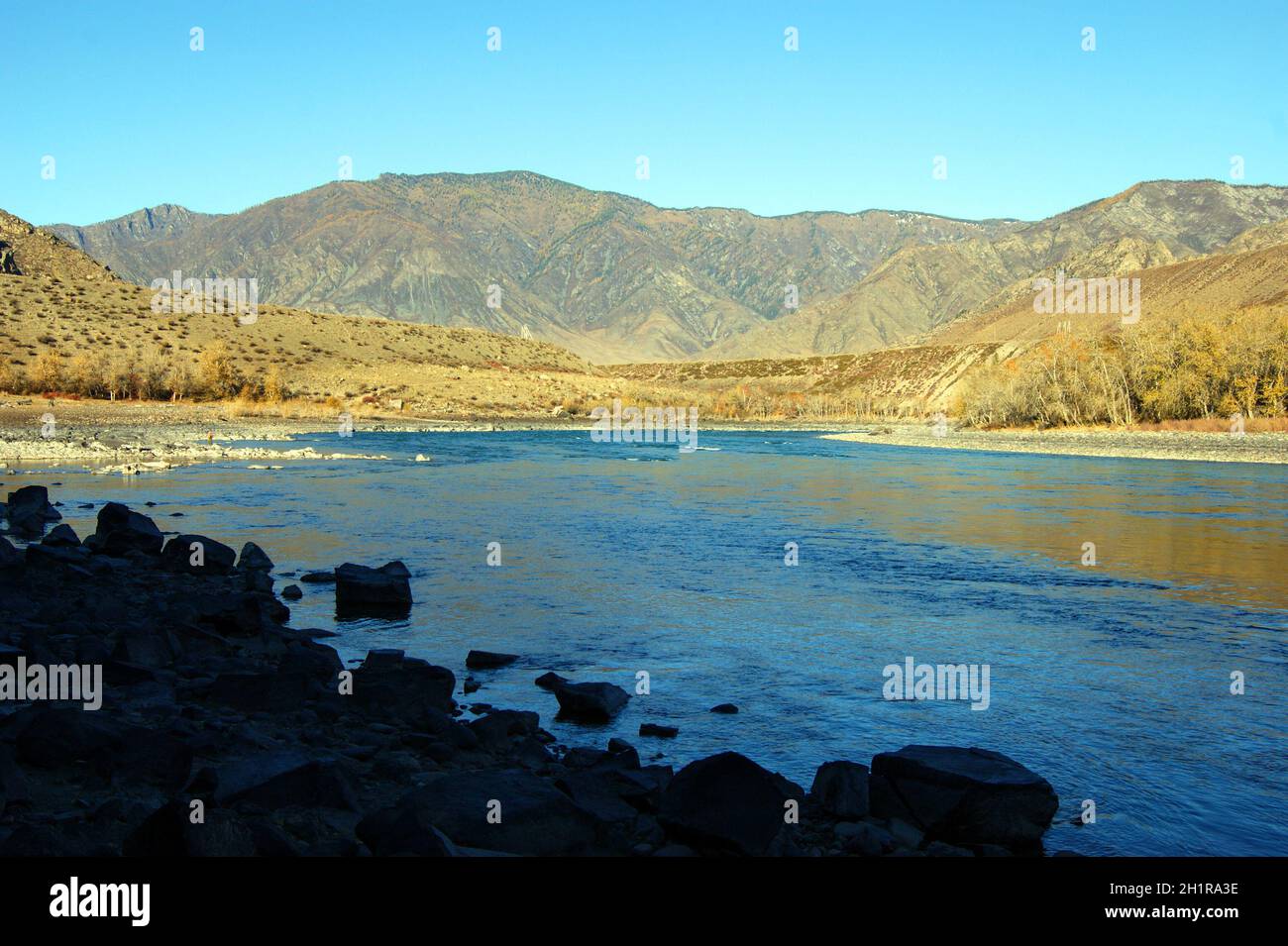 Beautiful mountain river with tempestuous current in siberia Stock ...