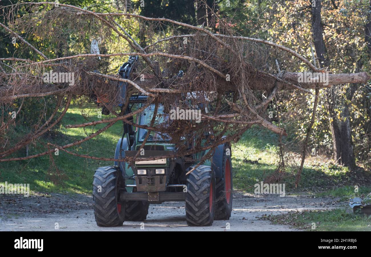 Forestry logistics hi-res stock photography and images - Alamy