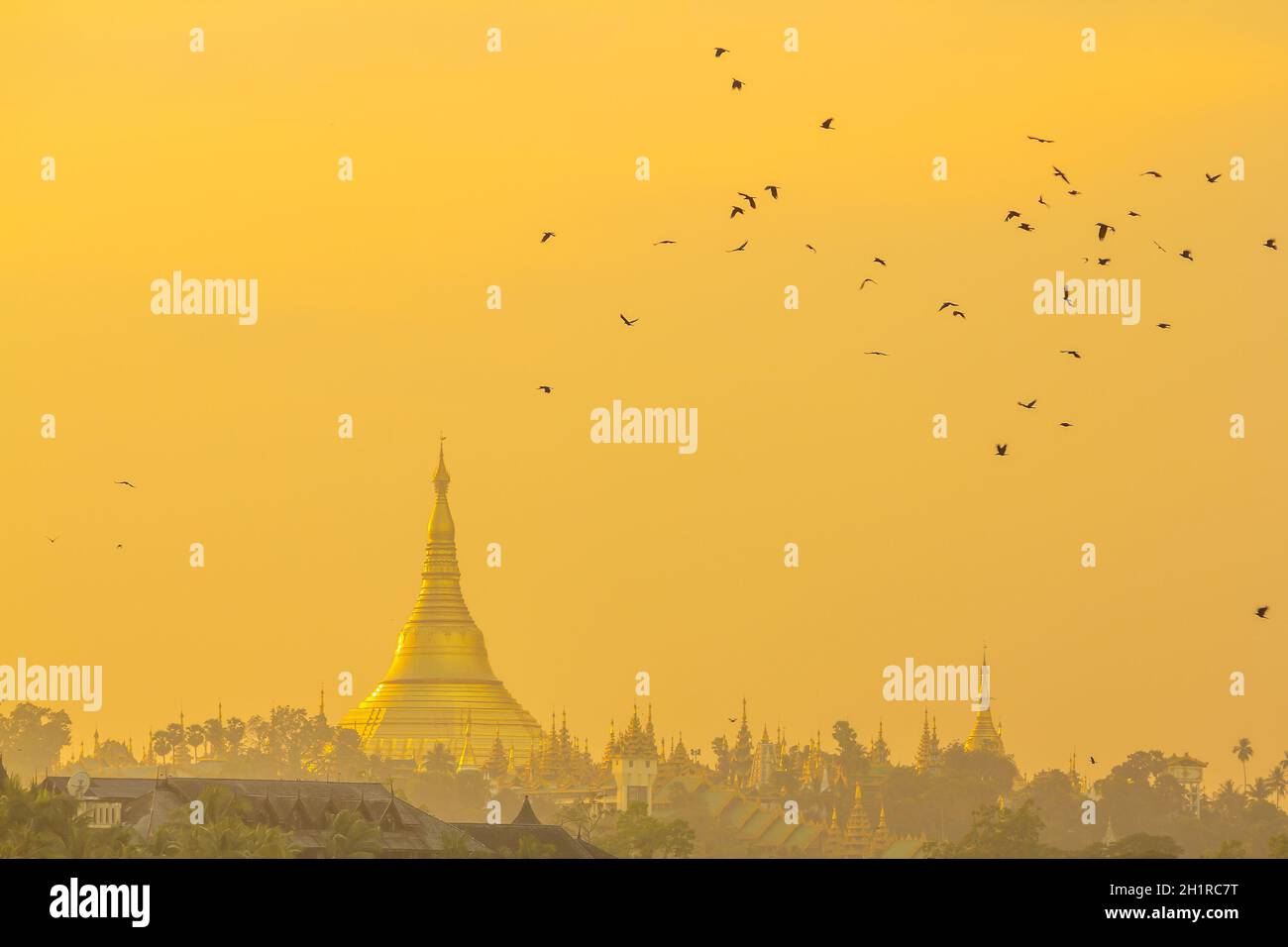 Shwedagon pagoda, at sunset, the Golden Pagoda, Yangon Myanmar Stock ...