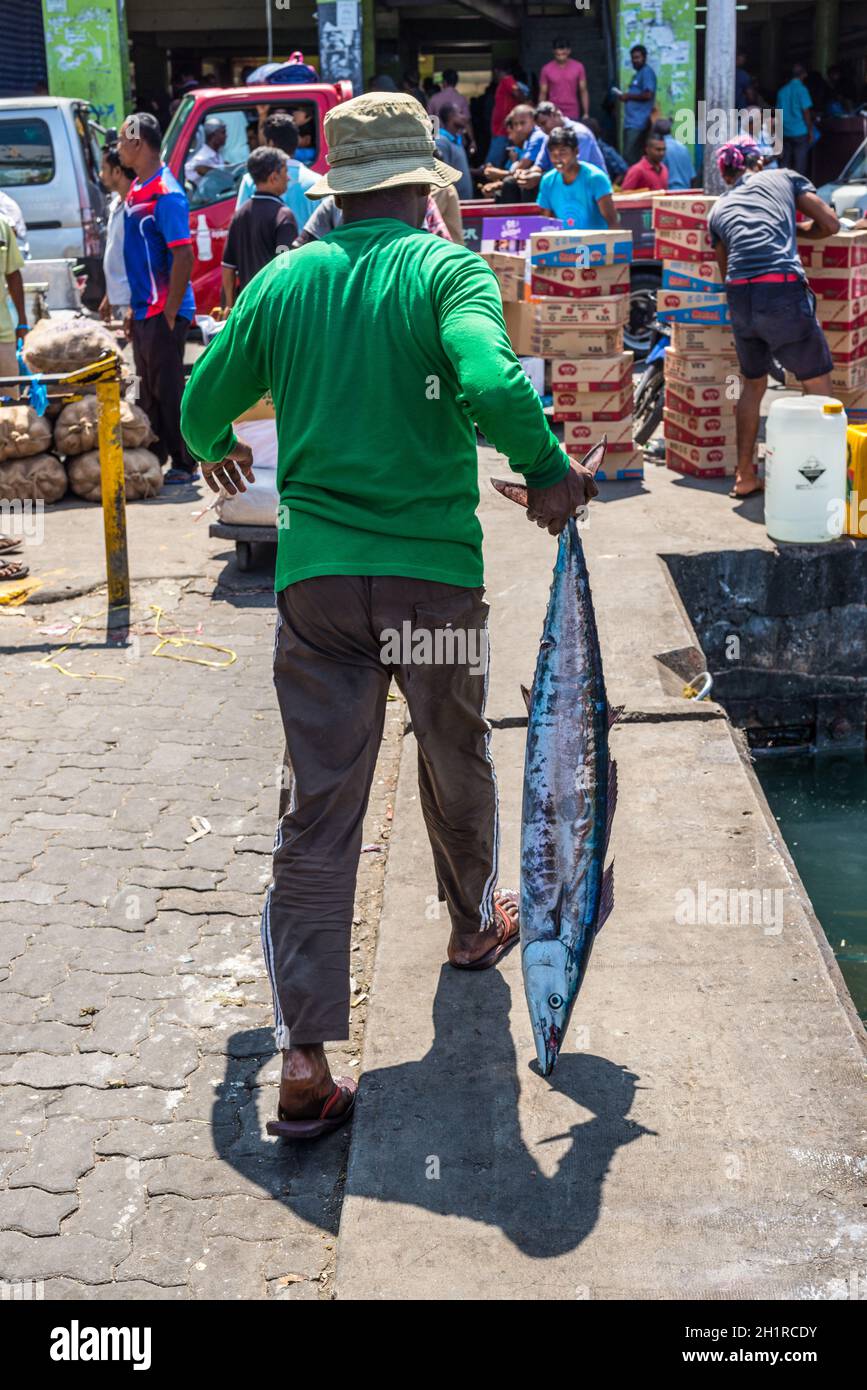 Male, Maldives - November 21, 2017: The fisherman carries a large fish ...